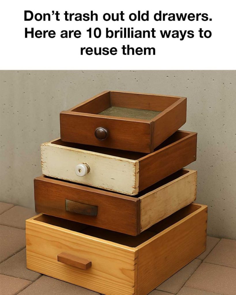 Don’t trash out old drawers. Here are 10 brilliant ways to reuse them ...
